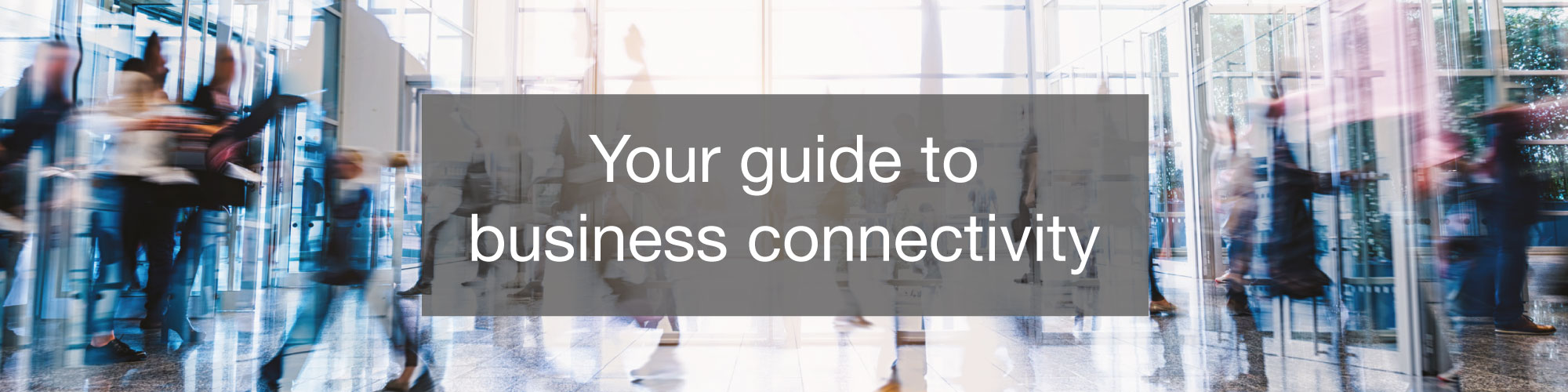 Business Connectivity Guide